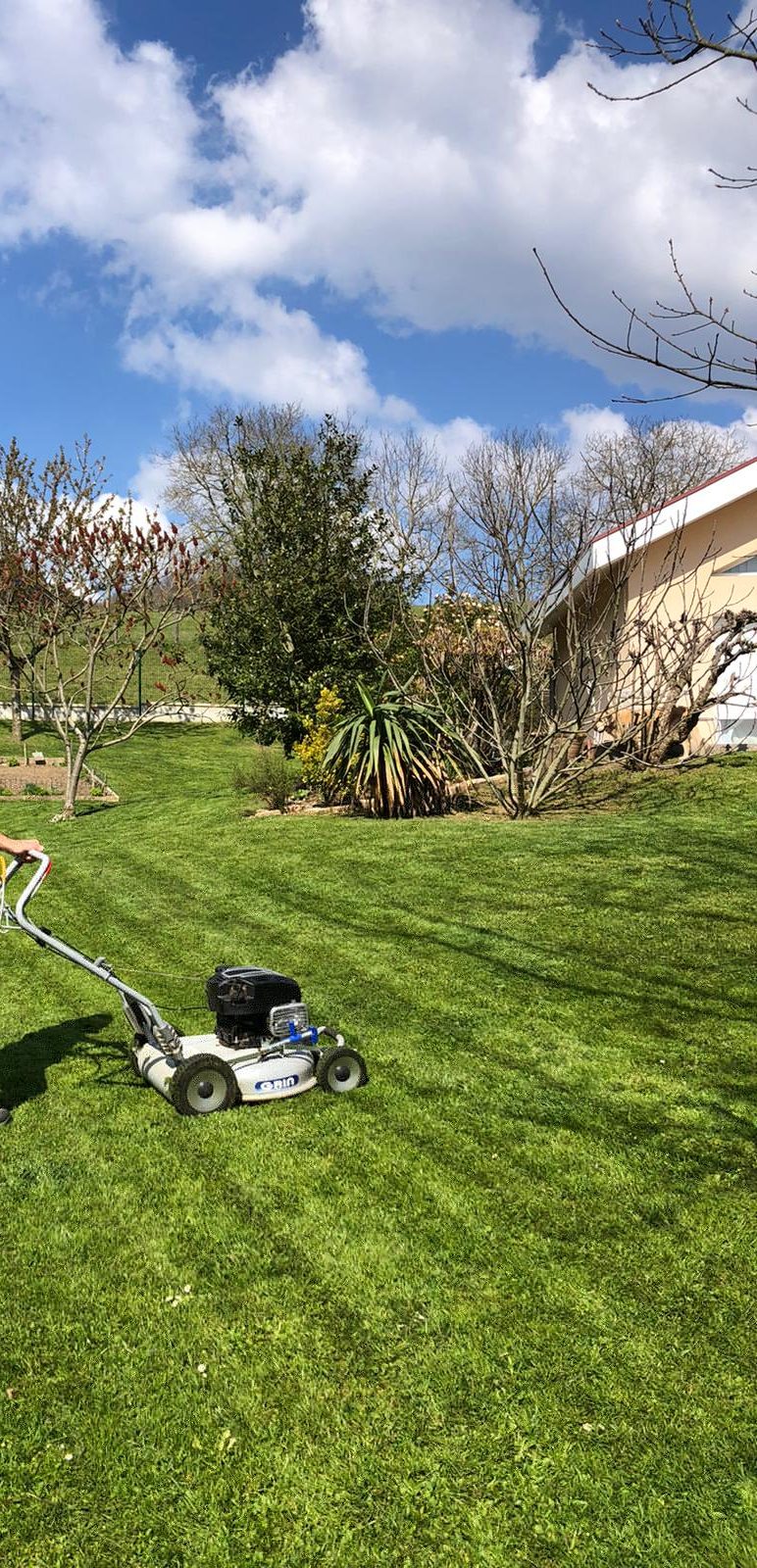 Petrol Lawn mower XM140A | GRIN